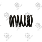 Dexta Intake Inlet Valve Spring – AgriComp